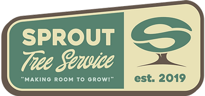 5 Warning Signs Your Trees Need Emergency Removal After Summer Storms ...