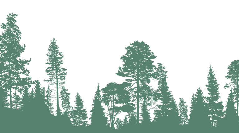 Tree Service Middle Tennessee - Tree Trimming Near Me